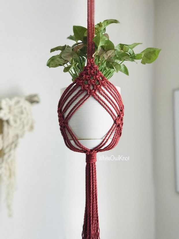 29 Macrame Plant Hanger Patterns | Crafting News - Crafting News
