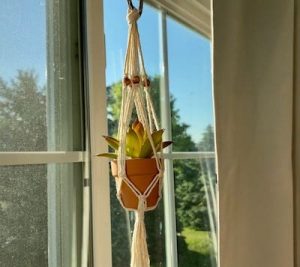 15 Mini Macrame Plant Hangers - Crafting News