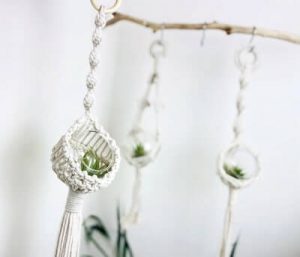 15 Mini Macrame Plant Hangers - Crafting News