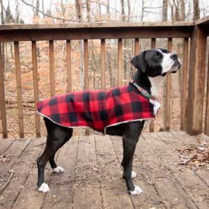 25 Dog Coat Patterns - Crafting News