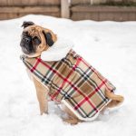 25 Dog Coat Patterns - Crafting News